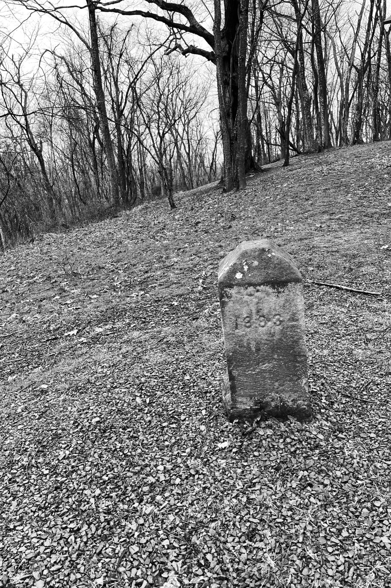 Mason-Dixon Lines - Commonplace - The Journal of early American Life